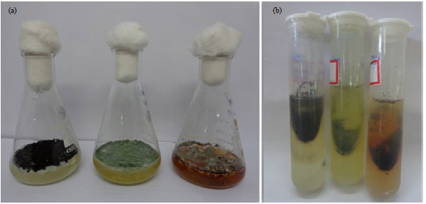 Long Term Preservation of Commercial Important Fungi in Glycerol at 4°C