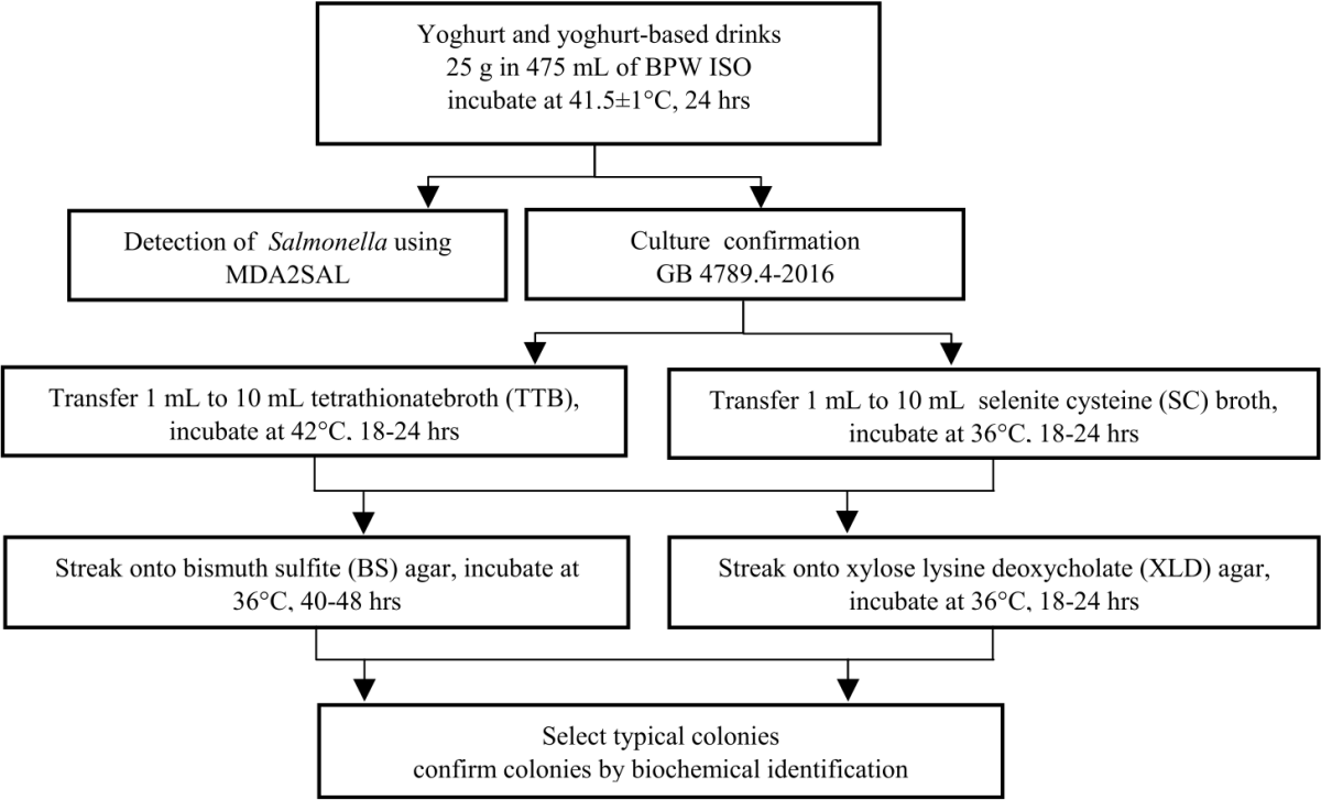 Loop-Mediated Isothermal Amplification vs. Guobiao Standards Method for ...
