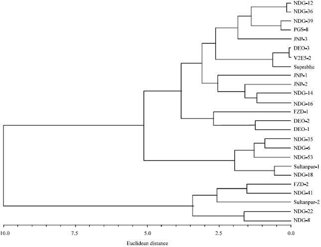 Genetic Diversity Based on Cluster and Principal Component Analyses for ...