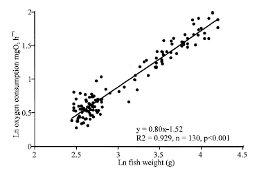 The Stability of Standard Metabolic Rate and its Relationship to Growth ...