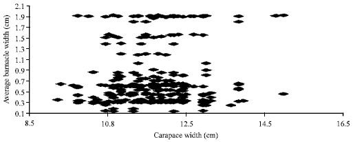 Growth Pattern and Specificity of Attachment of Lagoon Crab ...