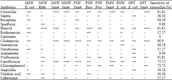 Microbial Quality and Antibiotic Sensitivity Pattern of Bacteria ...