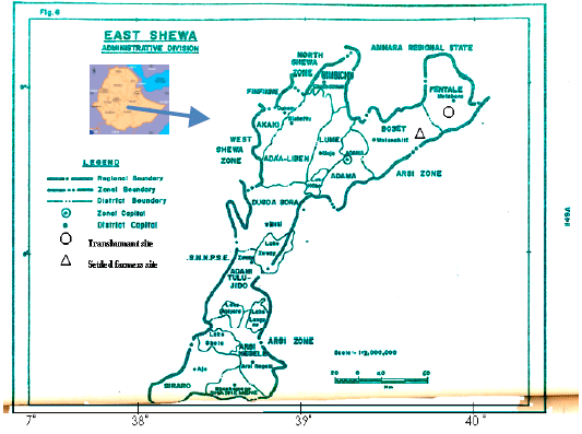Neutraceutal Wild Plants of SemiArid East Shewa, Ethiopia ...
