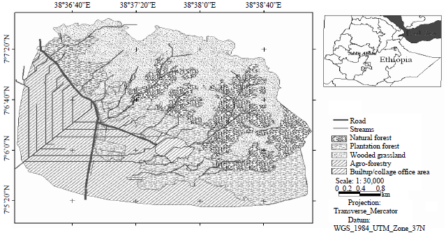 Diversity, Relative Abundance and Distribution of Avian Fauna in and ...