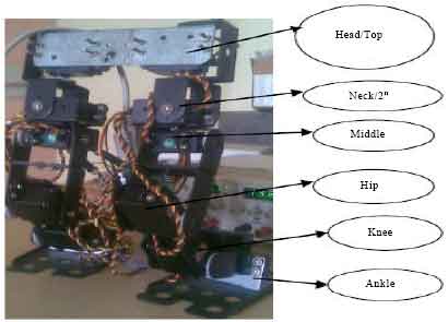 Humanoid as a Sensor Node
