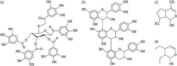 Investigations Towards the Binding Mechanisms of Vegetable Tanning ...