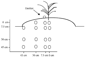 Investigation on Soil Wetting Patterns of Low Cost Drip Irrigation ...