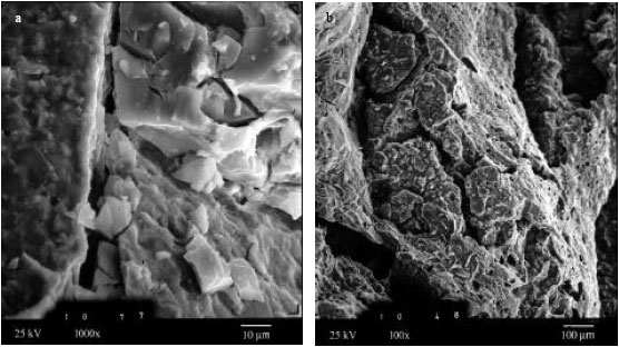 Water Transport Properties of Alkali Activated Aluminosilicate ...