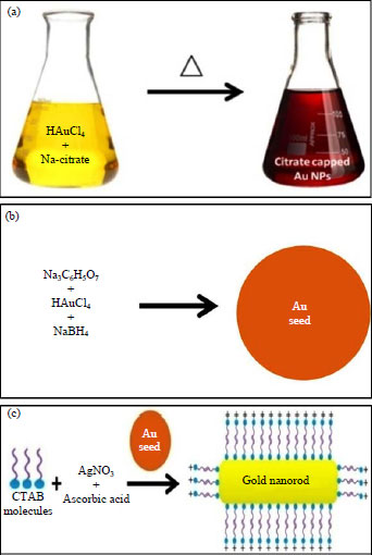 Synthetic Applications of Gold Nanoparticles in Research Advancement of ...