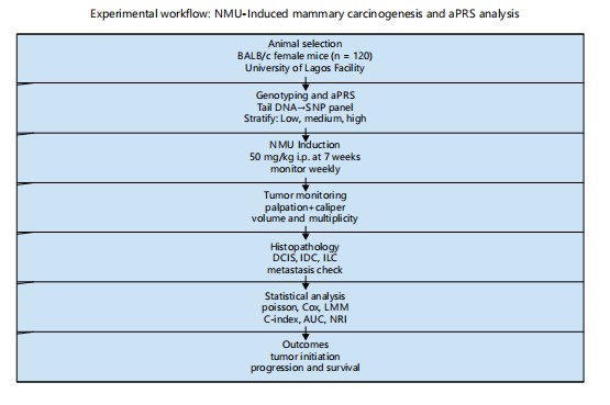 Polygenic Risk Score as a Predictor of Mammary Carcinogenesis in NMU ...