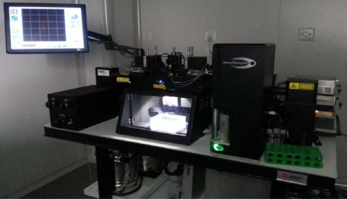 Identification of Genome Size in Rosa macrophylla Using MoFlo™ XDP Flow ...