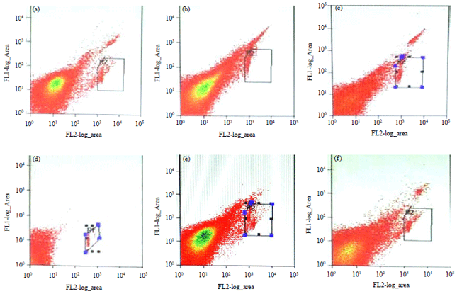 Identification of Genome Size in Rosa macrophylla Using MoFlo™ XDP Flow ...