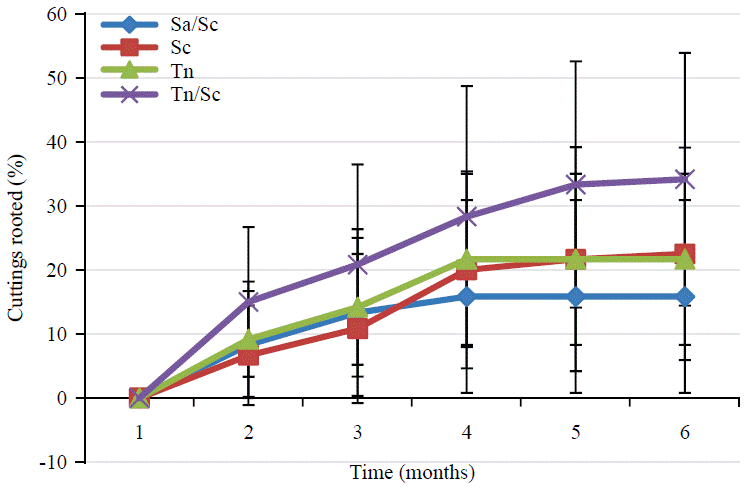 Vegetative Propagation of Berlinia grandiflora by Leafy Stem Cutting in ...
