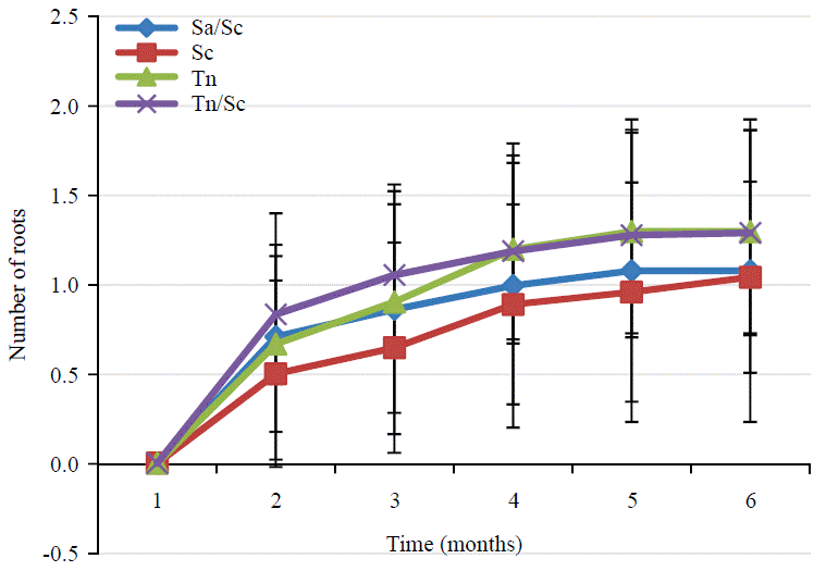 Vegetative Propagation of Berlinia grandiflora by Leafy Stem Cutting in ...