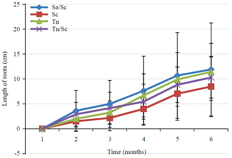 Vegetative Propagation of Berlinia grandiflora by Leafy Stem Cutting in ...