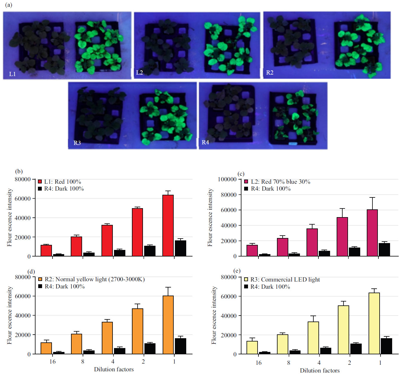 Light-Regulated Transient Expression of GFP in Nicotiana benthamiana: A ...