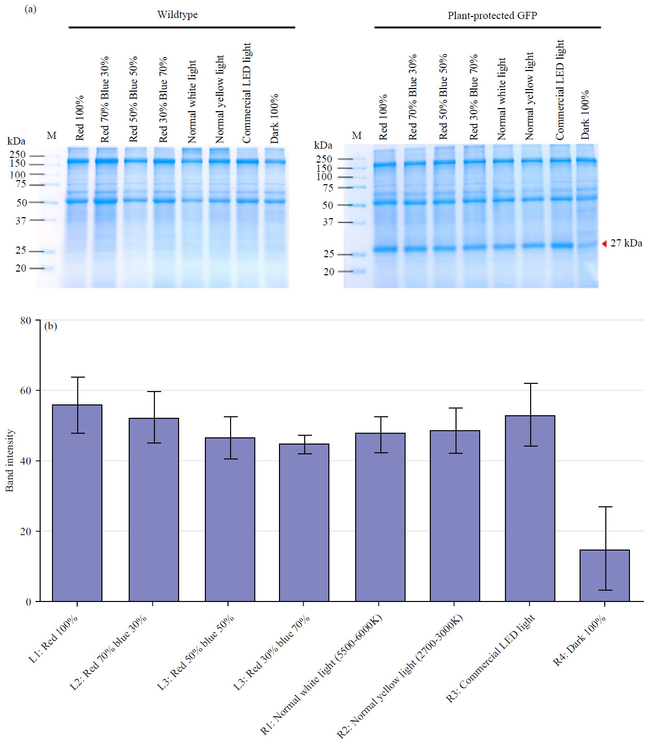 Light-Regulated Transient Expression of GFP in Nicotiana benthamiana: A ...