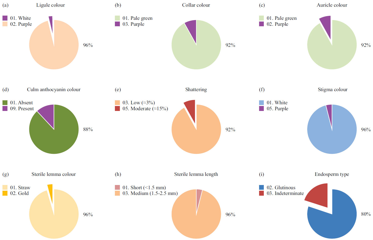 Agro-Morphological Variability of Tepi Boro Rice Landraces of ...