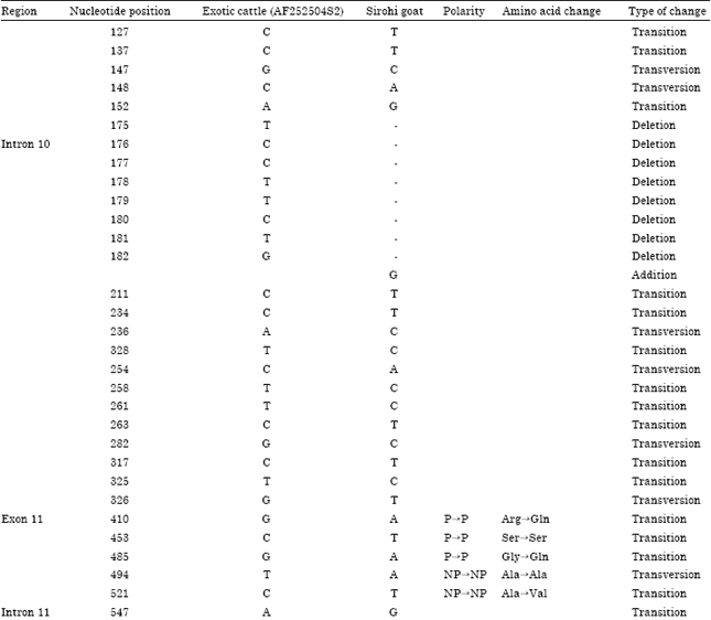 Genetic Polymorphism of CAPN1 Gene in Sirohi Goat