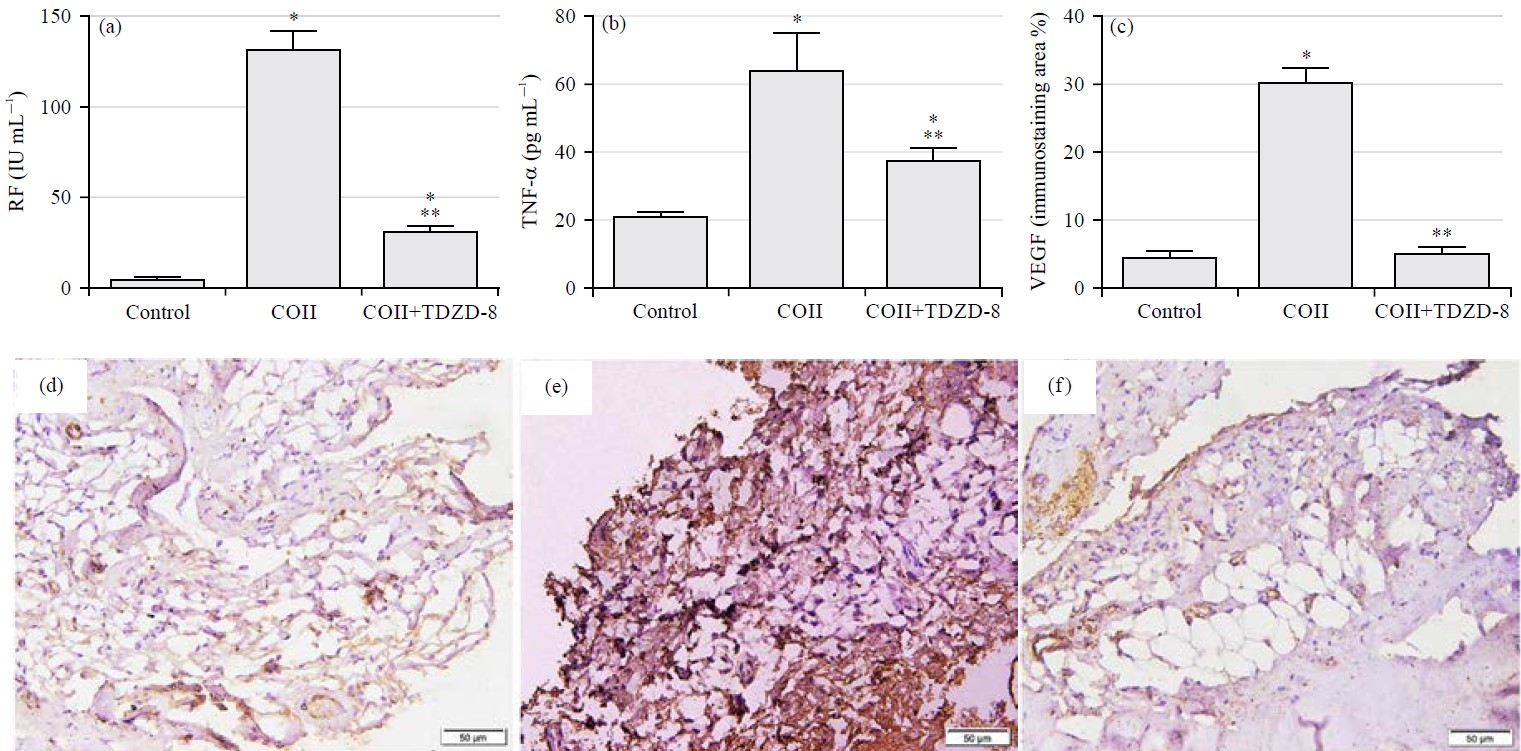 Synovial Knee Joint in Rheumatoid Arthritis Treated with TDZD-8: An ...