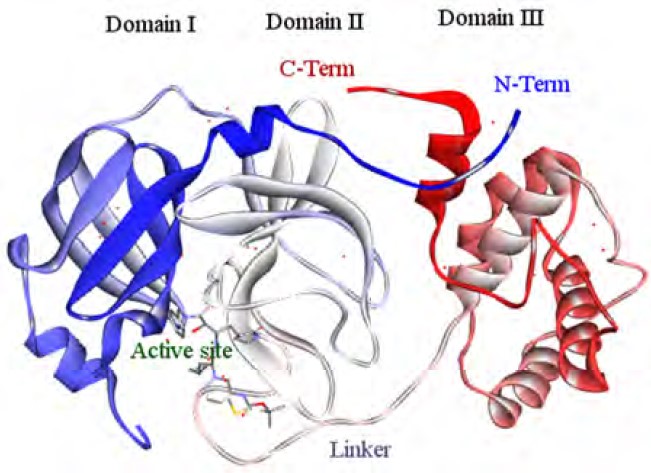 Synthesis of New 1,4-Dihydropyridine Scaffold Thiadiazole and Triazole ...