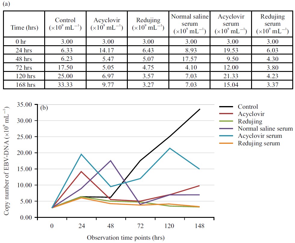 Pharmacodynamic Study of Redujing Oral Liquid on Epstein-Barr Virus ...