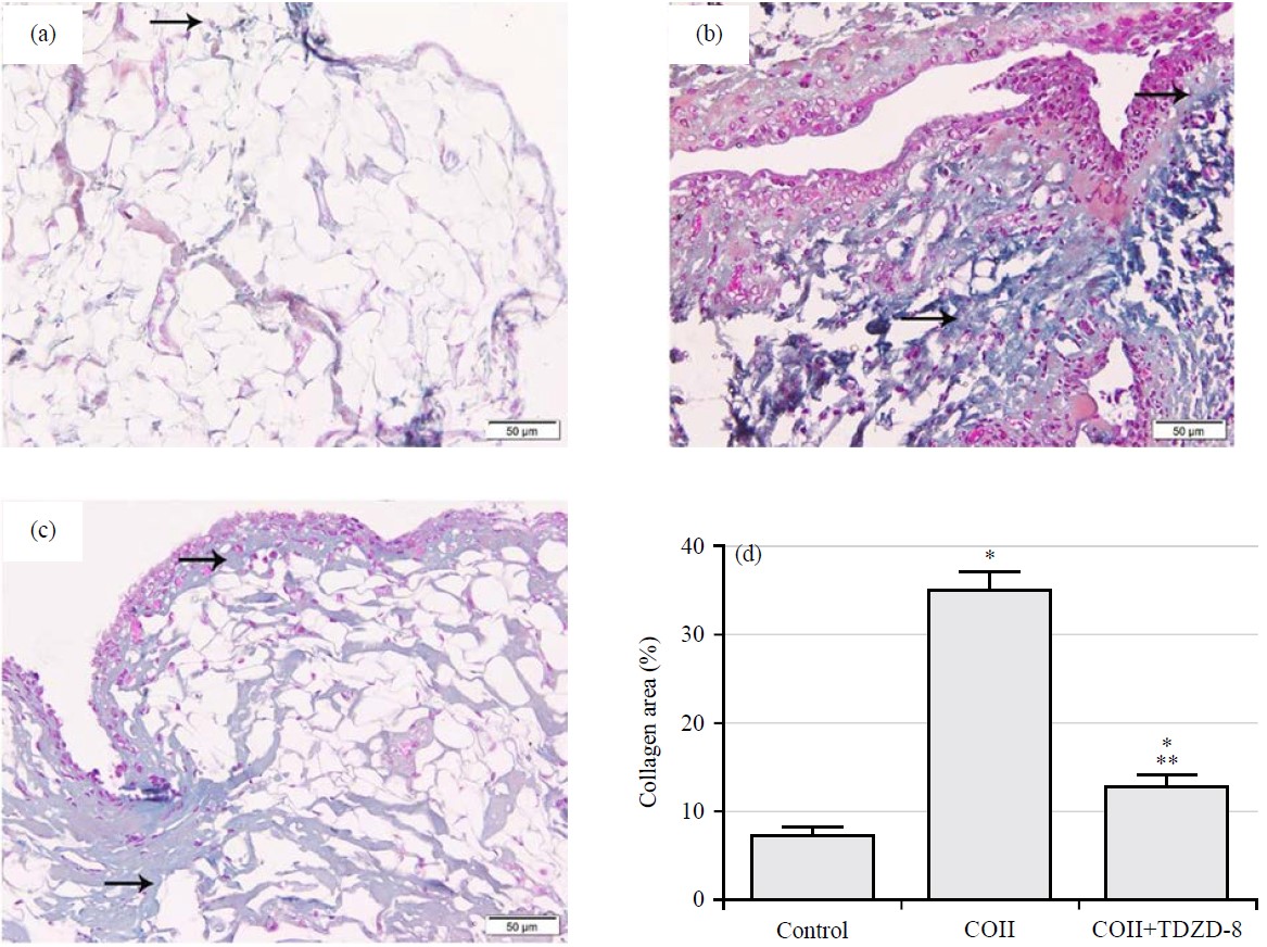 Synovial Knee Joint in Rheumatoid Arthritis Treated with TDZD-8: An ...