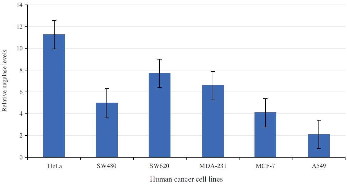 Comparative Study on the Role of Nagalase Expression in Different ...