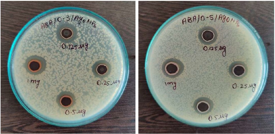 Anti-Biofilm Activities of Silver Nanoparticle Conjugated Rhazya ...