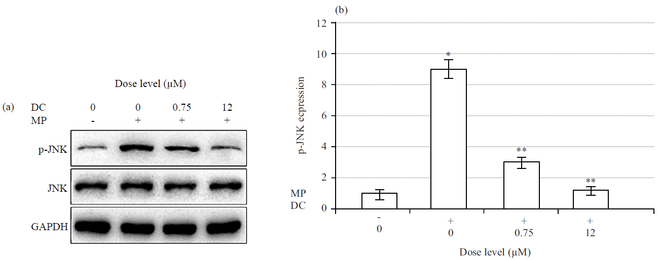 Dimedone Conjugate Alleviates Macrolide-Resist Mycoplasma pneumoniae ...