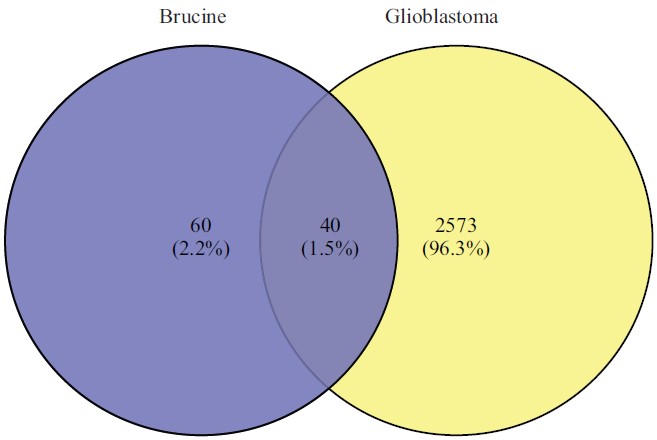 To Explore the Mechanism and Experimental Verification of Brucine ...