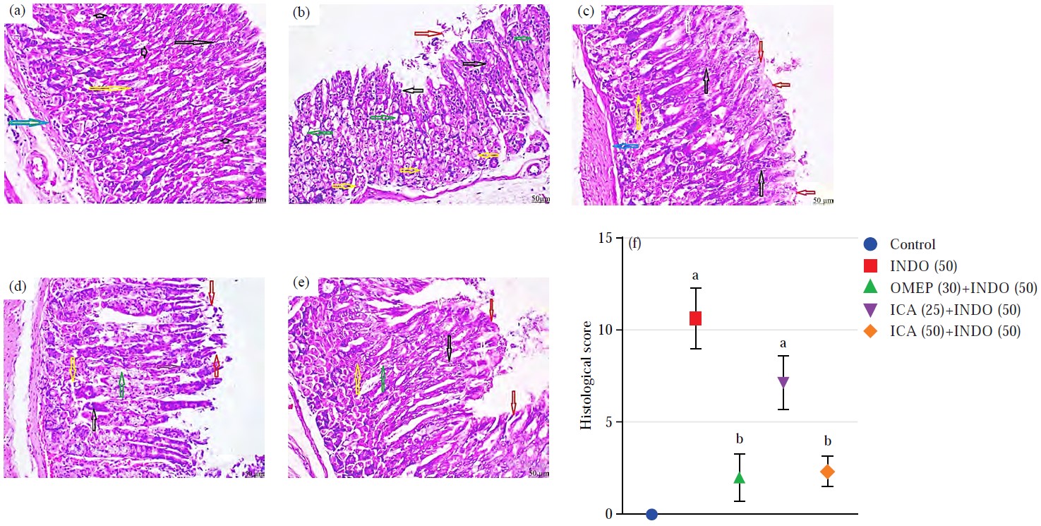 Icariin Attenuates Indomethacin-Induced Gastric Ulcer in Rats: Emphasis ...