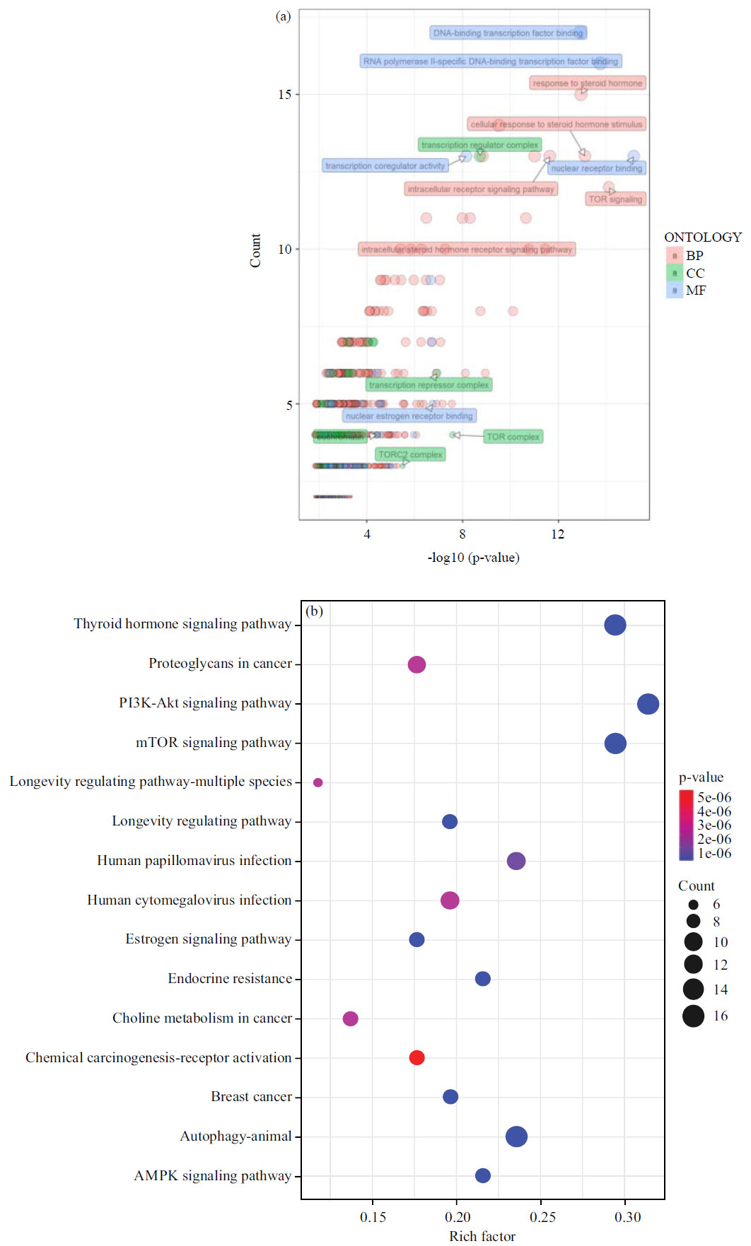 Exploring Mechanism of Pelargonidin in Treatment of Pediatric Pneumonia ...