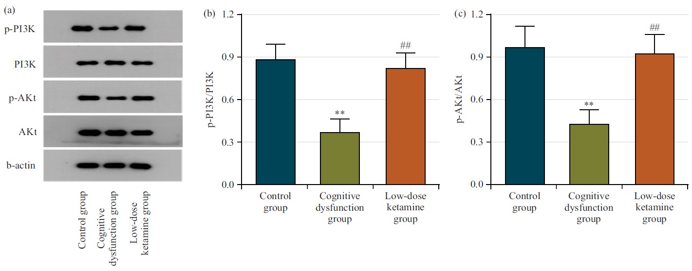 Mechanism of Cognitive Dysfunction Alleviation After Sevoflurane ...