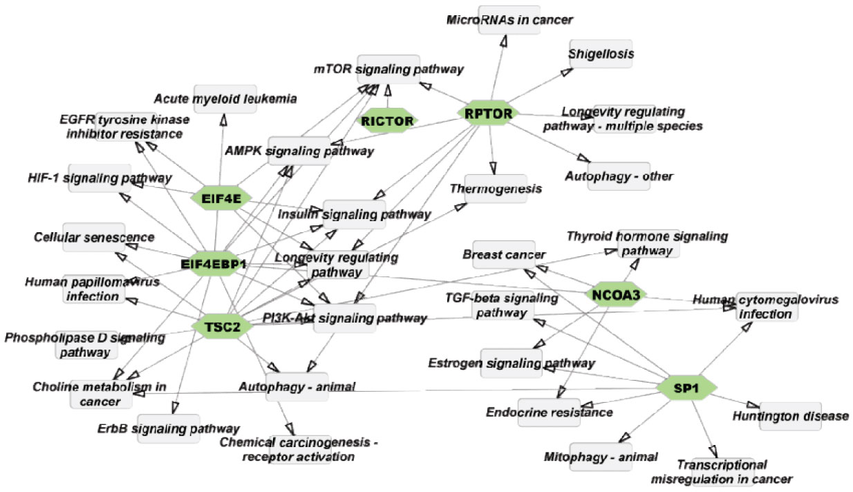 Exploring Mechanism of Pelargonidin in Treatment of Pediatric Pneumonia ...