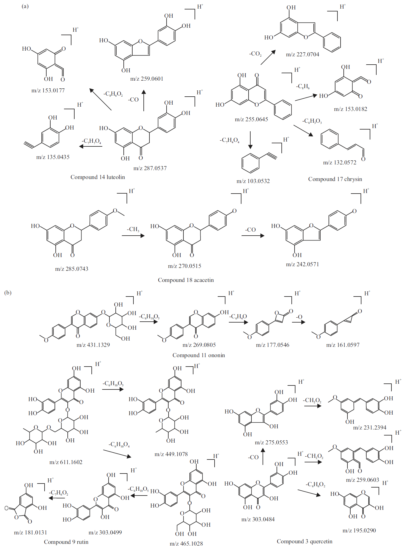 Analysis of Ingredients of Biyuan Tongqiao Granule Absorbed into Blood ...