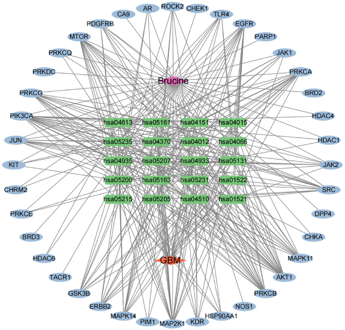 To Explore the Mechanism and Experimental Verification of Brucine ...