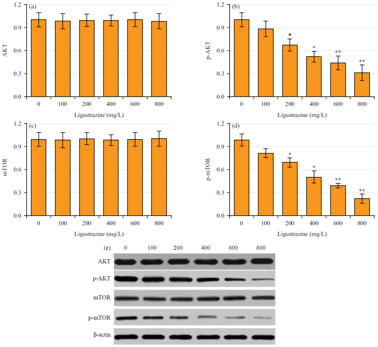 Effect of Natural Extract Ligustrazine on the Proliferation of ...
