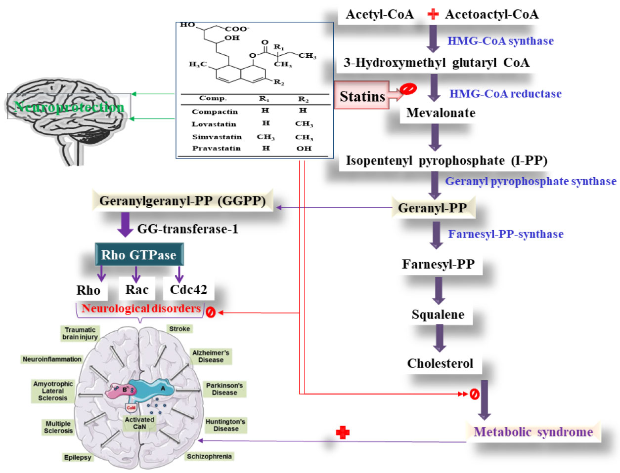Rho GTPases, a Potential Target for the Treatment of Neurodegenerative ...