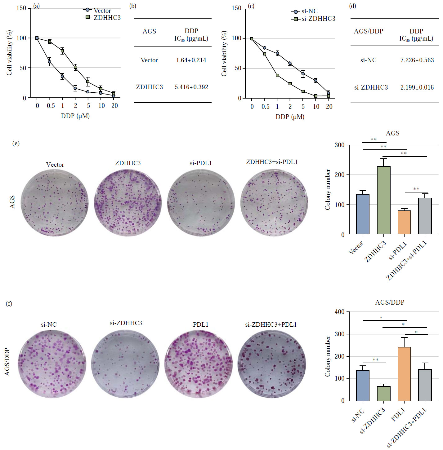 PD-L1 Palmitoylation by ZDHHC3 Contributes to Chemoresistance and ...