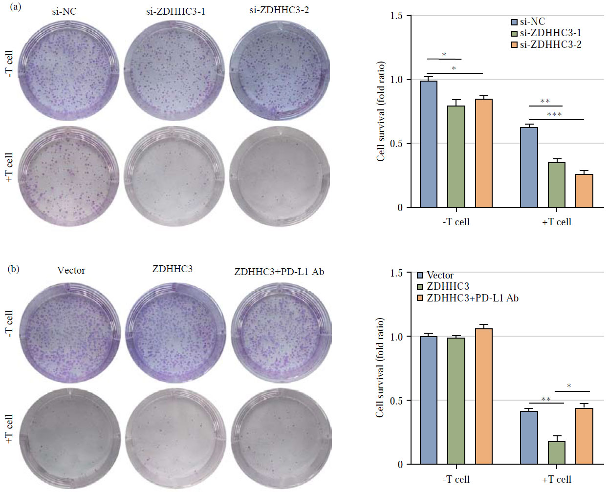 PD-L1 Palmitoylation by ZDHHC3 Contributes to Chemoresistance and ...