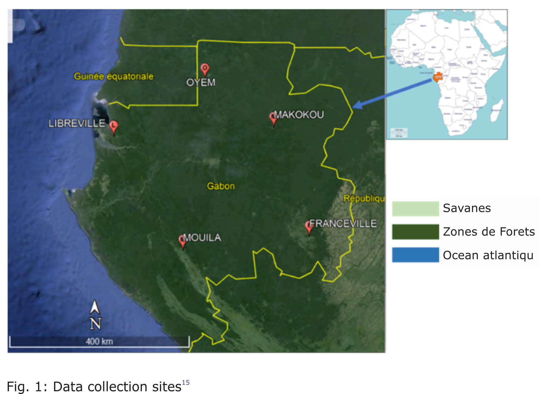 Assessment of the Genetic Diversity and Population Structure of Local ...