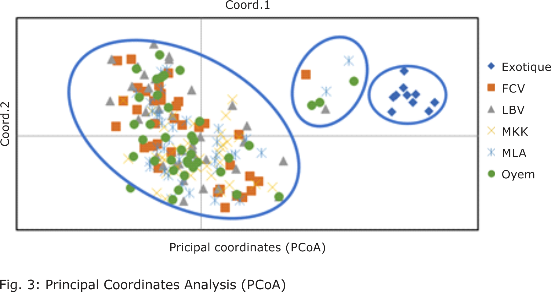 Assessment of the Genetic Diversity and Population Structure of Local ...