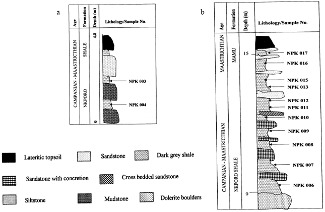 Hydrocarbon Potential and Thermal Maturity of Nkporo Shale from Lower ...
