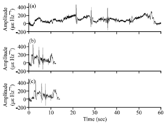 Wavelet Coefficient Extraction Algorithm for Extracting Fatigue Features in Variable Amplitude ...