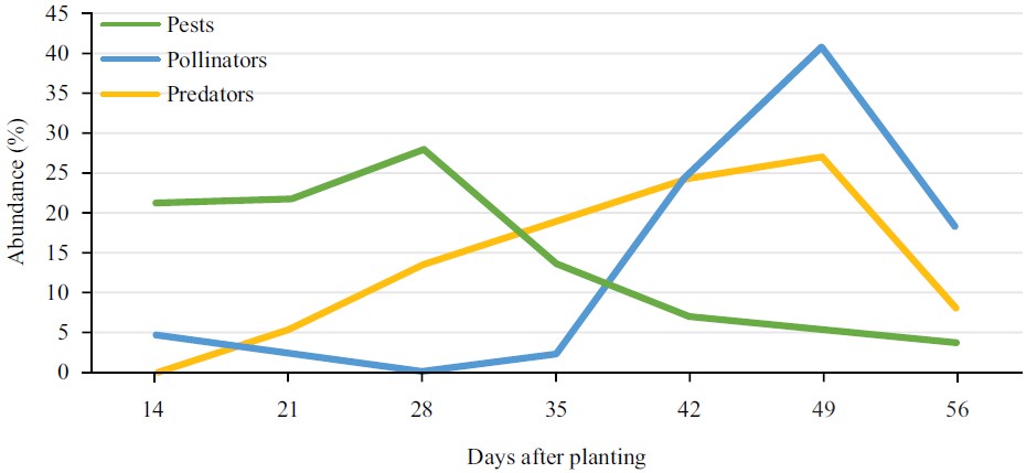Inventory of Entomofauna in Tomato (Solanum lycopersicum L.) Fields in ...