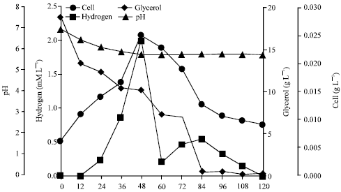 Bio-hydrogen Production from Biodiesel Glycerol Waste from Used Oil by ...