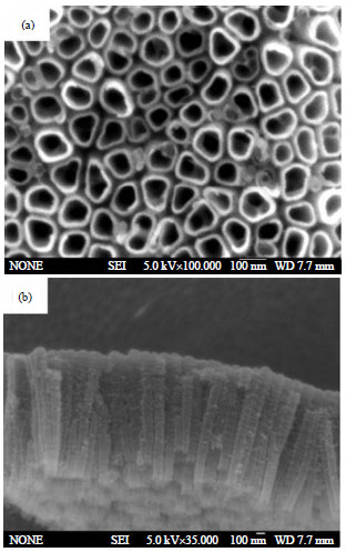 Anodic TiO2 Nanotube Arrays as Fixed Photocatalyst