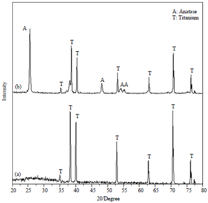 Anodic TiO2 Nanotube Arrays as Fixed Photocatalyst