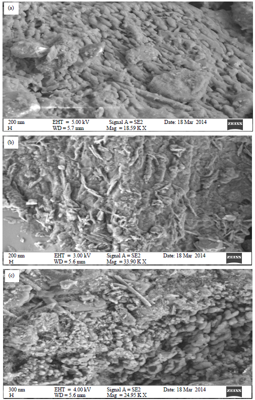 A Comparative Study of Physicochemical and Mineralogical Properties of ...